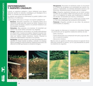 césped GUÍA TÉCNICA DE CULTIVO.pdf