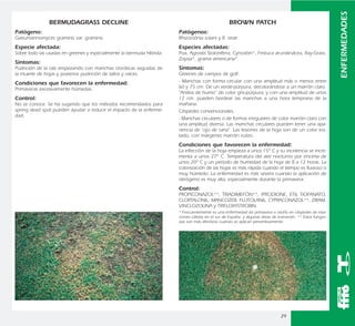 césped GUÍA TÉCNICA DE CULTIVO.pdf