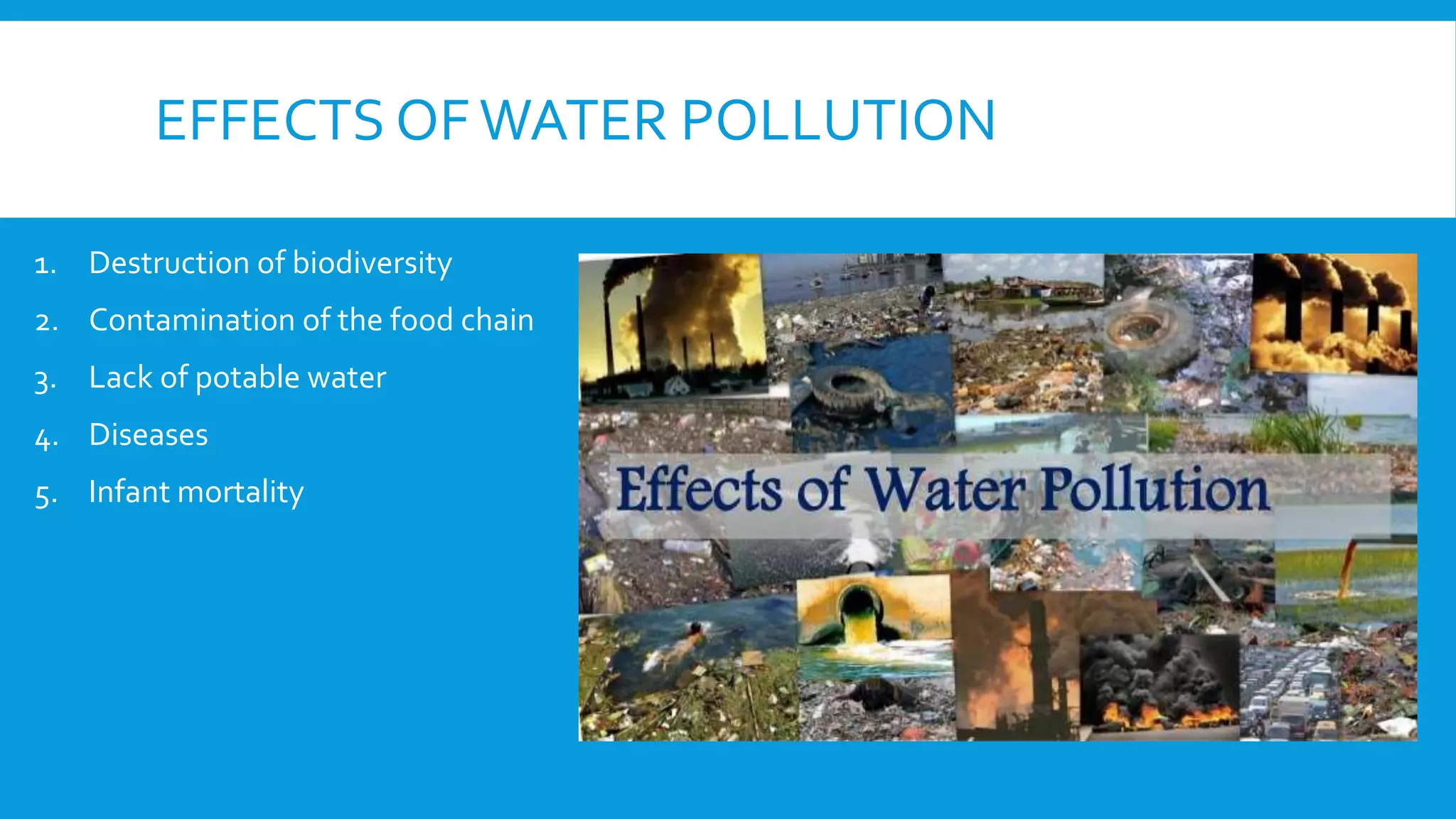 Effects of water pollution on human life | PPTX