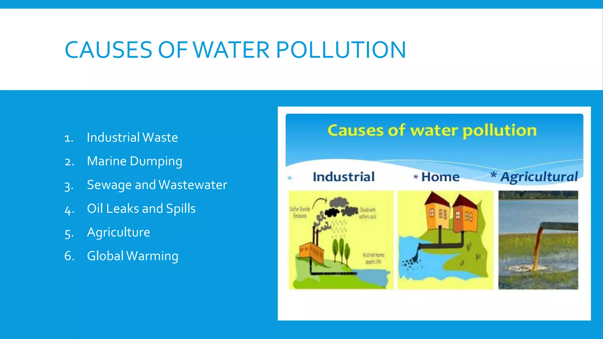 Effects of water pollution on human life | PPTX