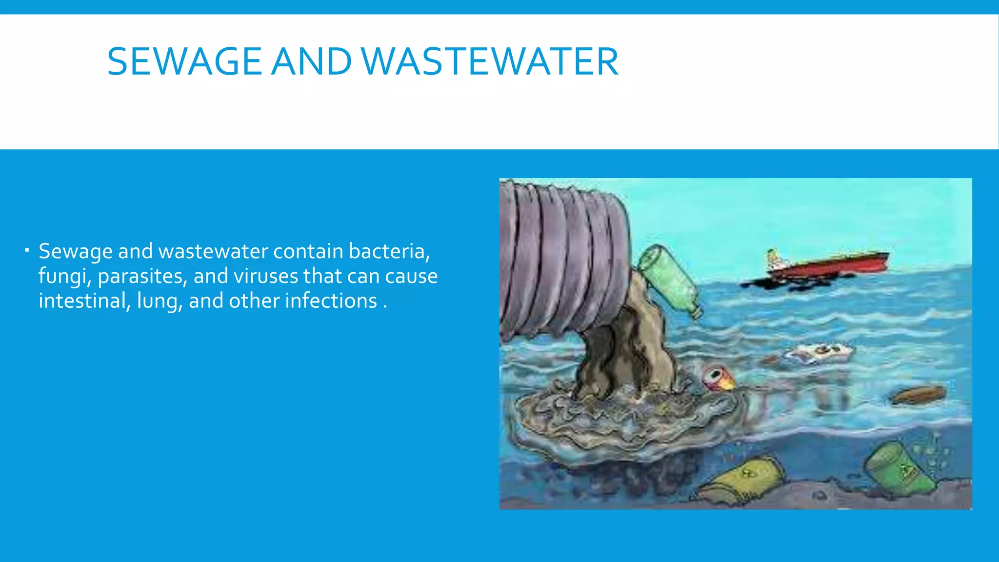 Effects of water pollution on human life | PPTX