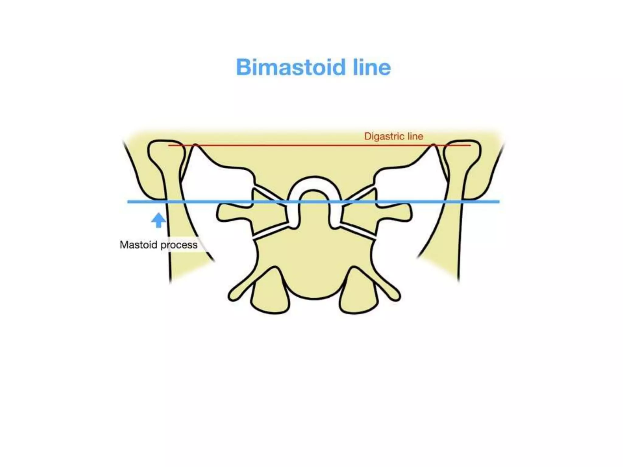 CT Cervical Spine | PPTX
