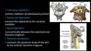 Cervical spine injuries | PPTX