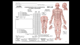 Cervical spine injuries | PPTX