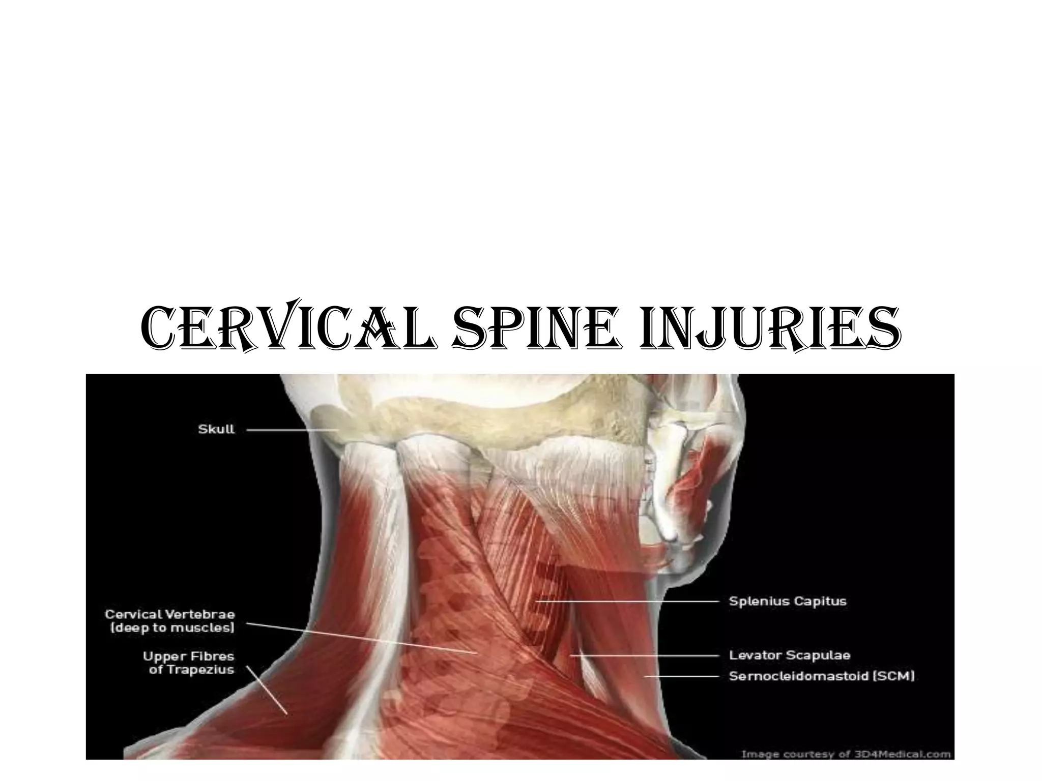 Cervical Fractures and Cervical spine injuries - Dr.KK