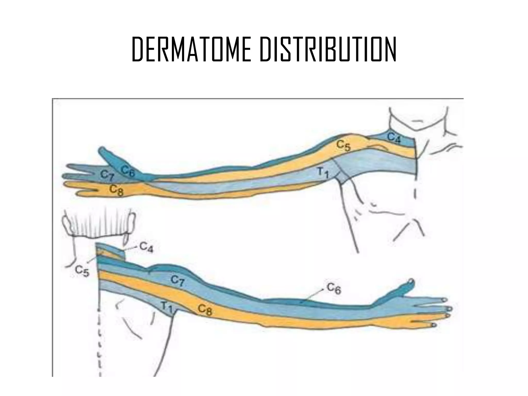 Cervical Fractures and Cervical spine injuries - Dr.KK