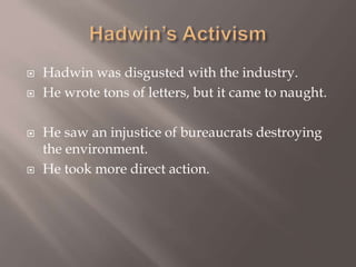 CS Golden Spruce Grant Hadwin | PPTX