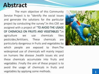 Community service project report | PPTX