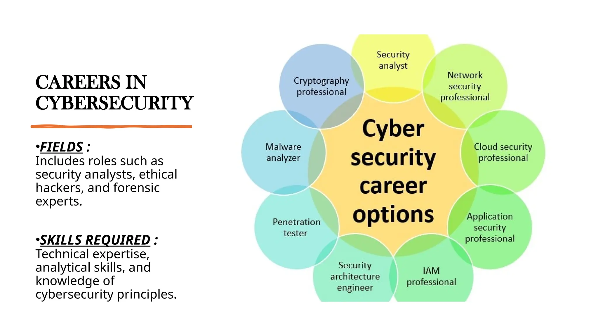 Computer Science Power point presentation PPT on Cyber Security11.pptx