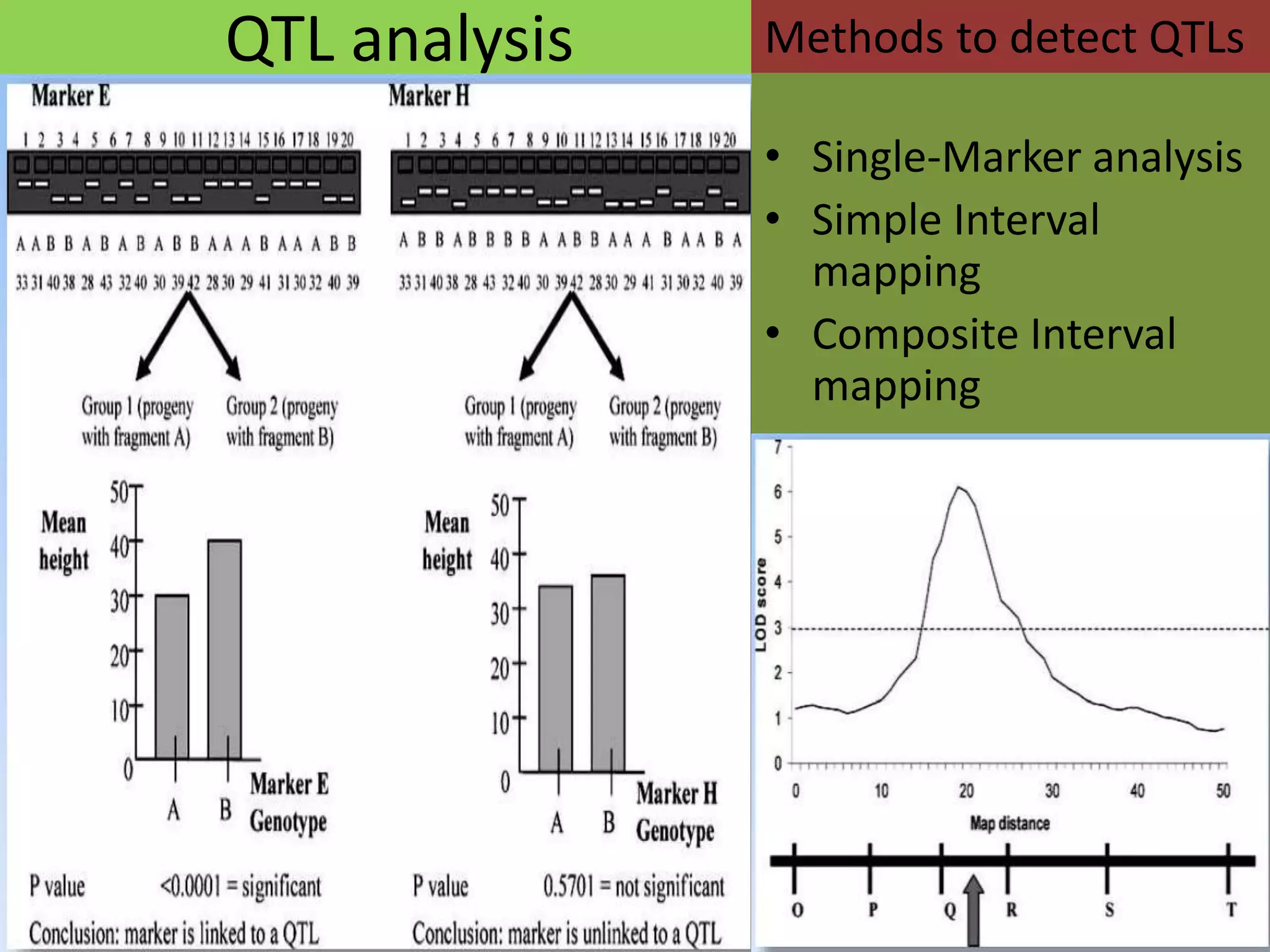 Breeding for Abiotic Stress Tolerance in Legumes | PPTX