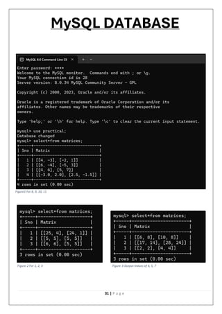 Computer Science CS Project Matrix CBSE Class 12th XII .pdf