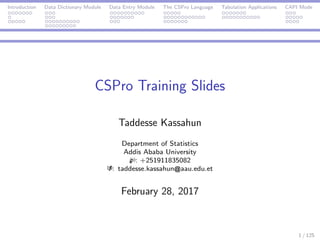 CSPro Training Slides | PDF