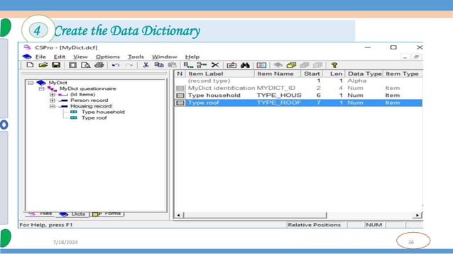 Training on CSPro and step by steps.pptx