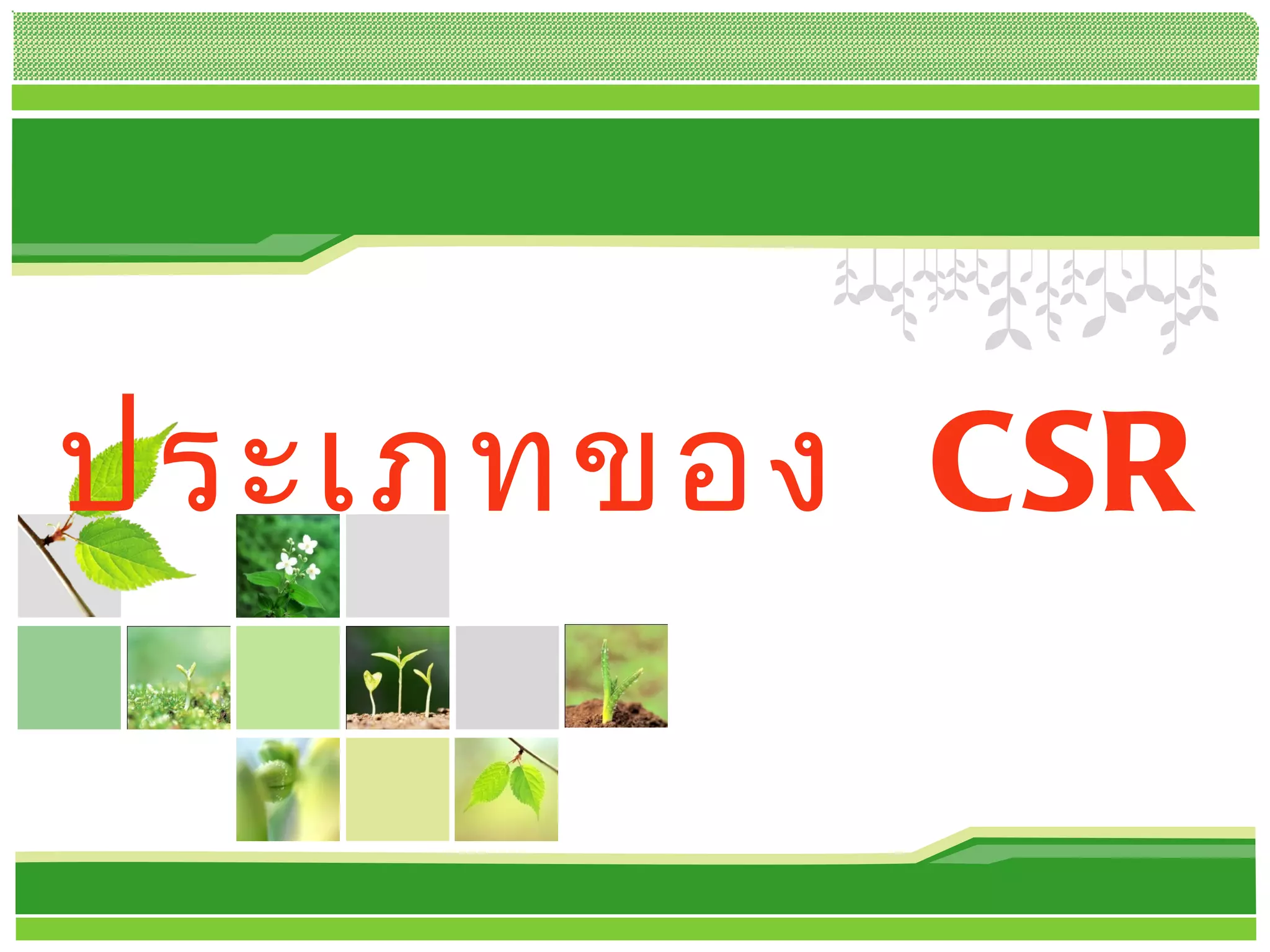 Corporate Social Responsibility (CSR) | PPT