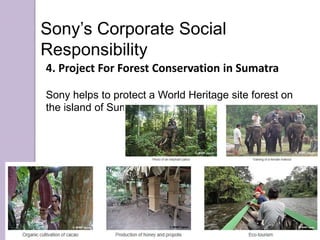 Sony - Corporate Social Responsibity | PPT