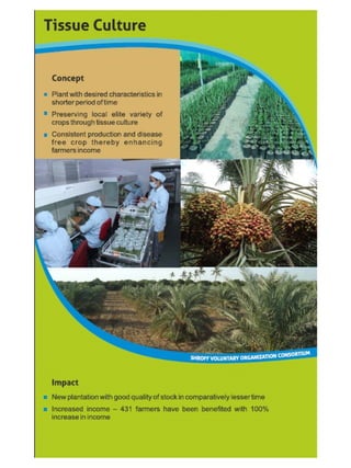 CSR Activities of Excel Group and Associated NGO's | PPT