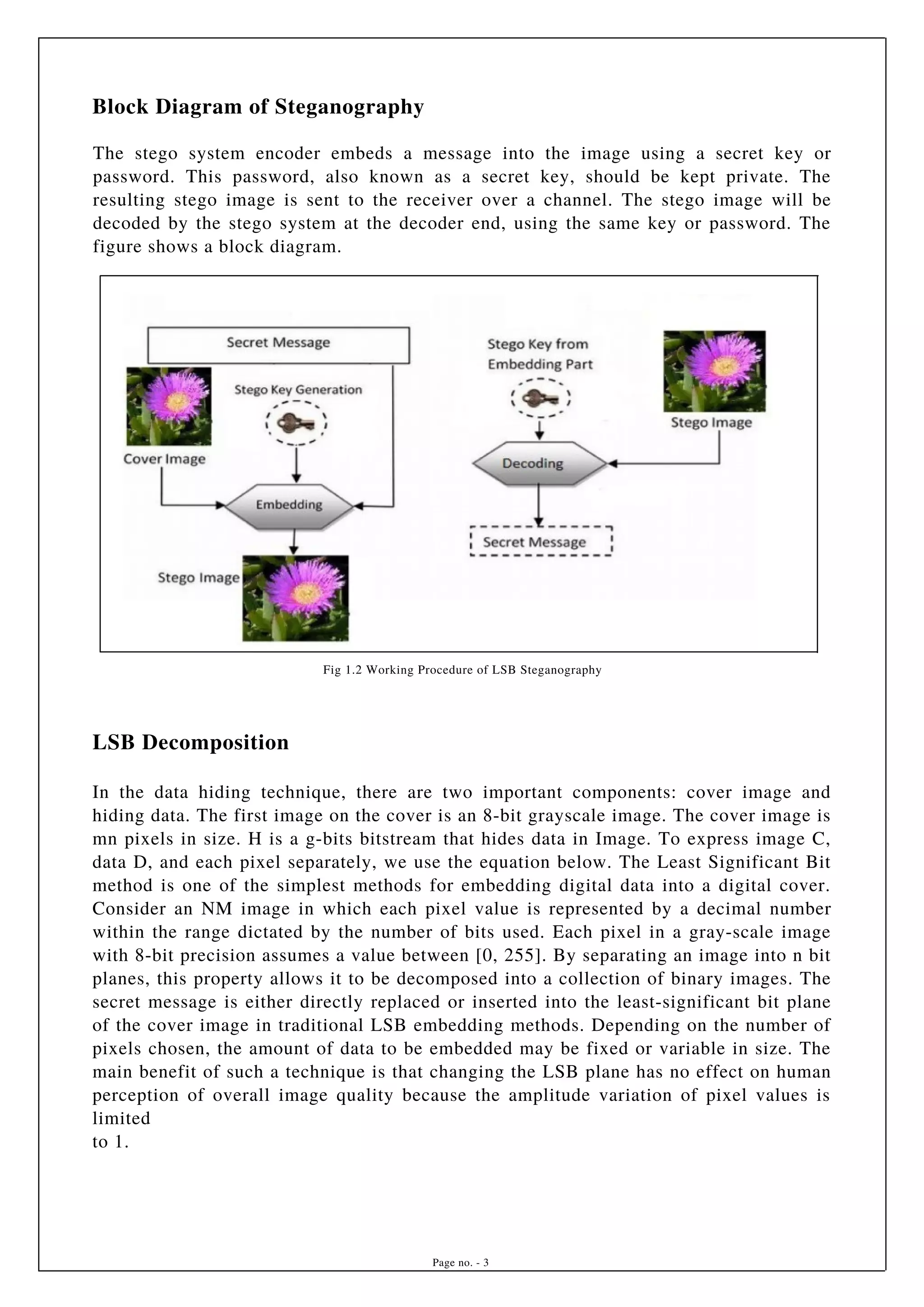 Image Steganography Project Report | PDF