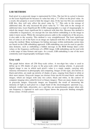 Image Steganography Project Report | PDF