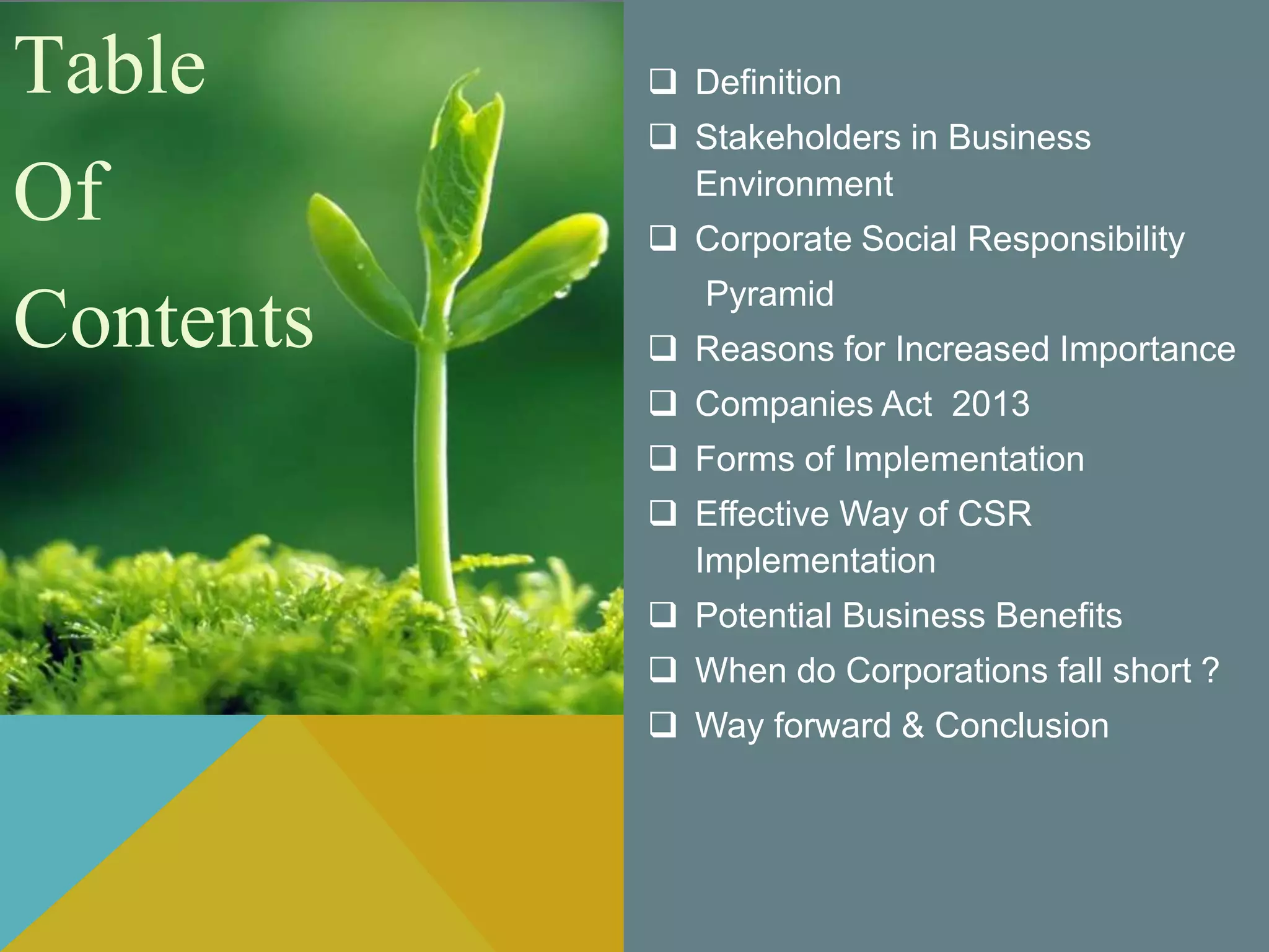 Importance of CSR | PPTX