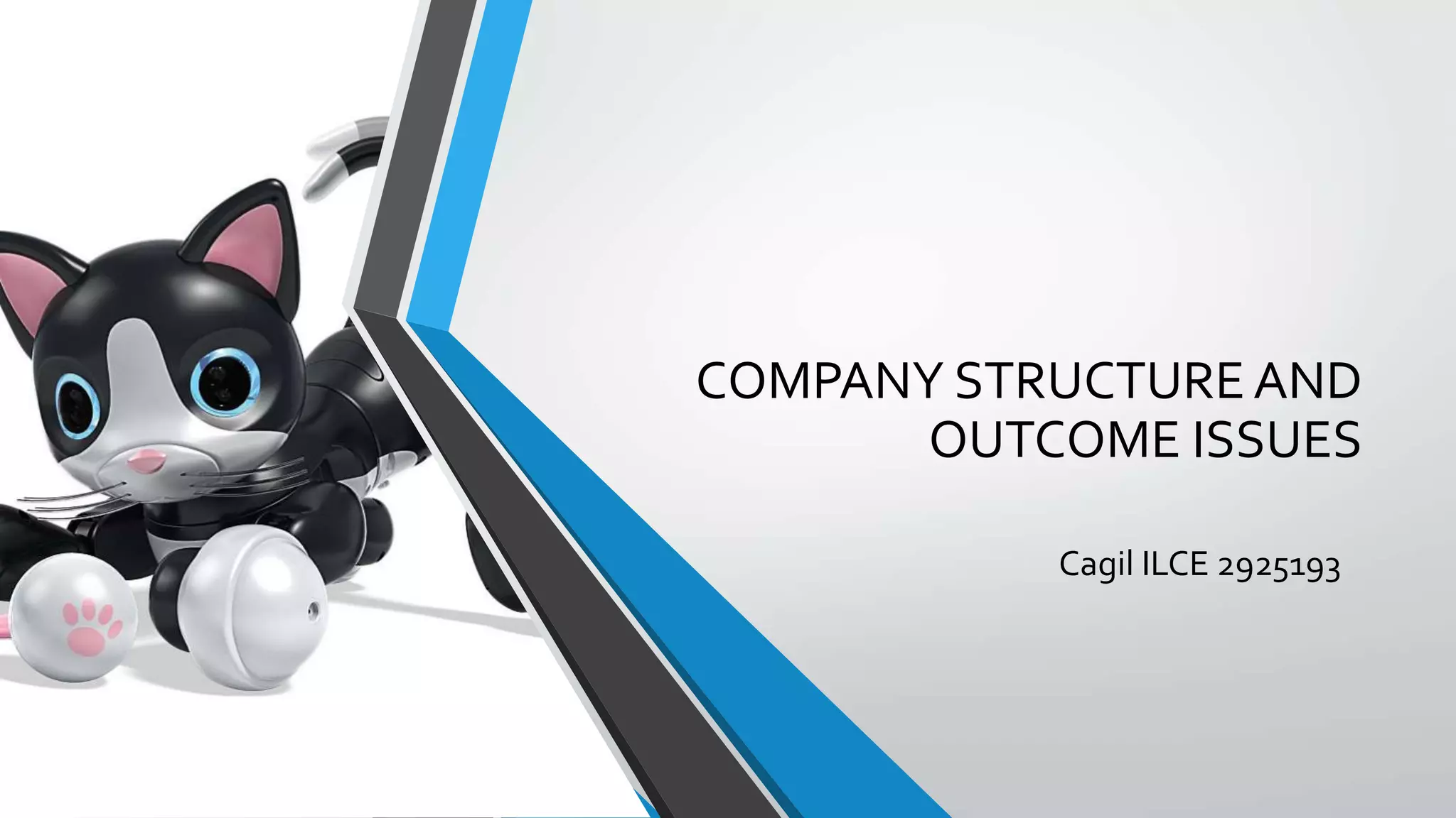 Edu Toys Corporate Social Responsibility ( Toy industry) | PPTX