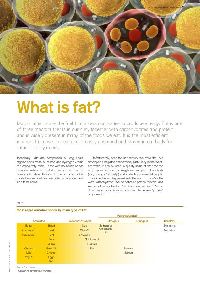 Fat: The New Health Paradigm