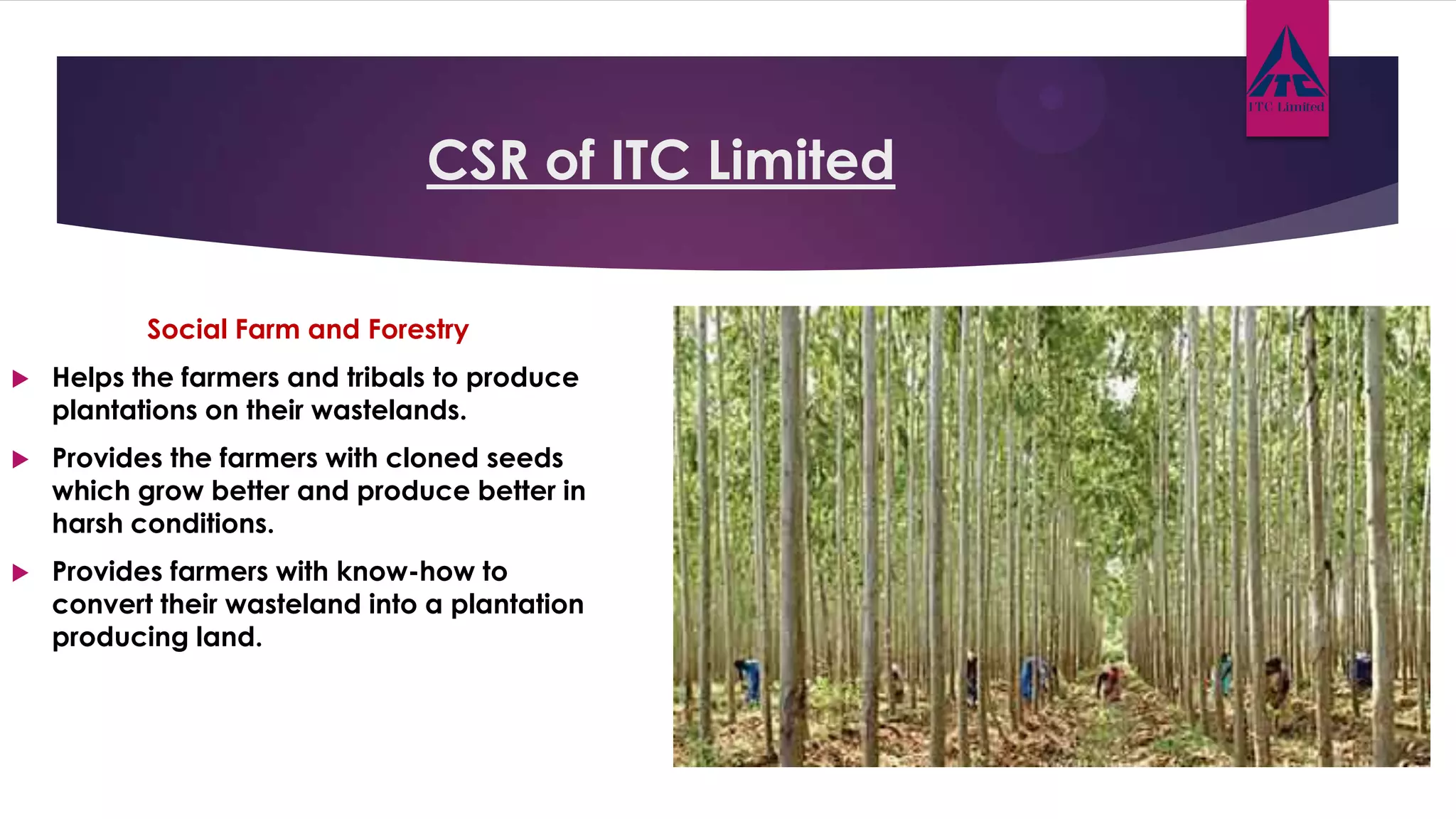 CSR on ITC Ltd. | PPTX
