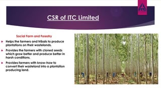 CSR on ITC Ltd. | PPTX