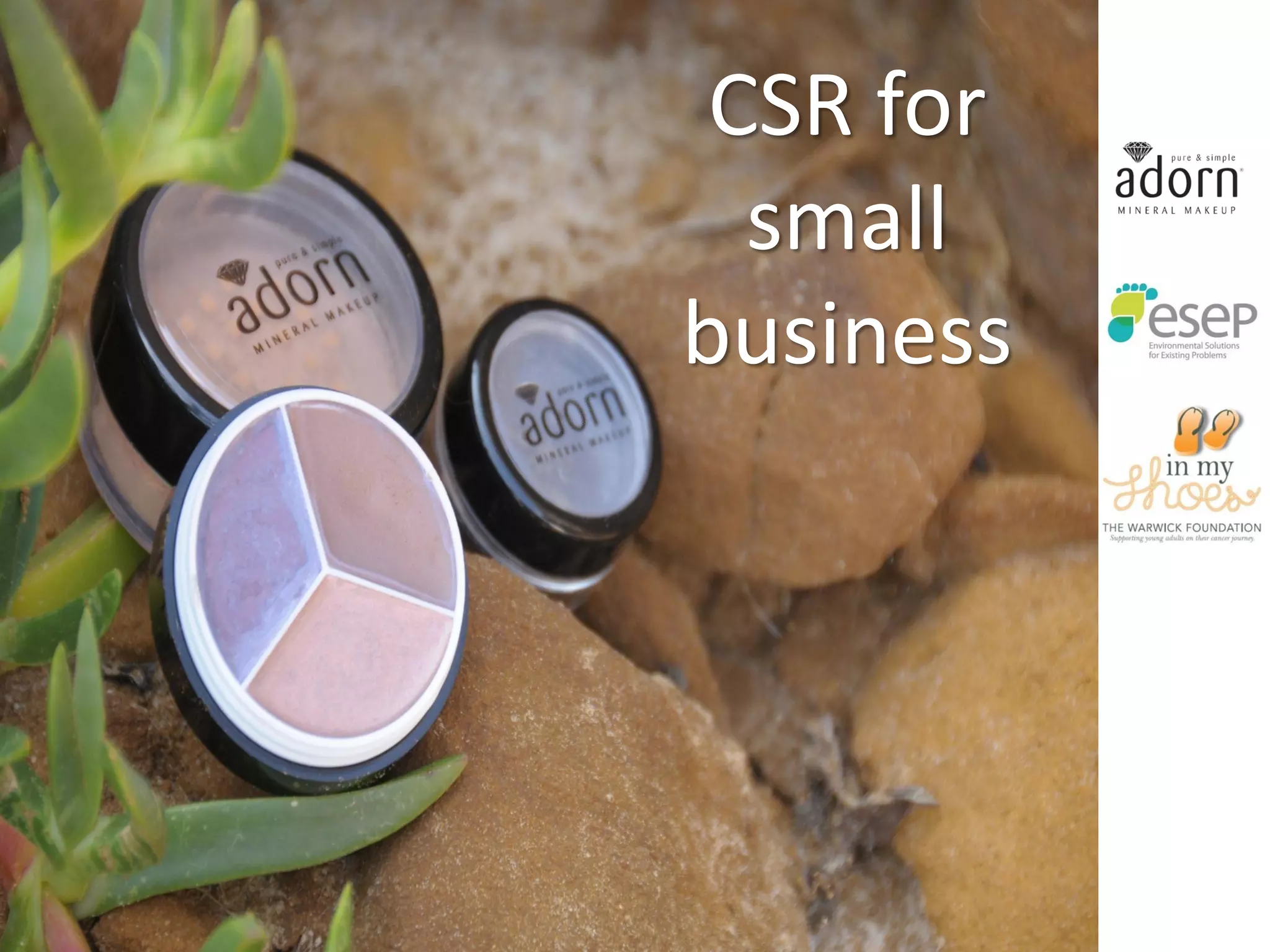 Adorn Mineral Cosmetics CSR Case Study | PPT