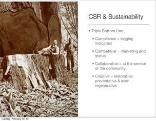 CSR, Sustainability & Culture | PDF