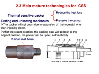 Cyclic Steam Injection | PPS