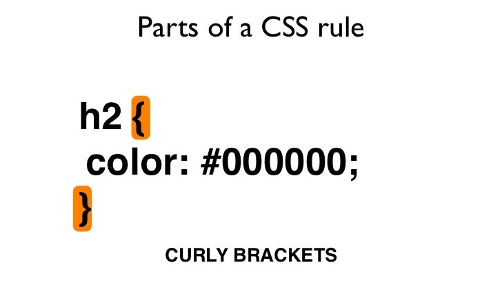 Css Tutorial