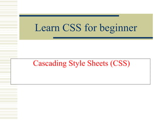 CSS.pdf