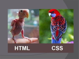 Εισαγωγή στα CSS - Cascading Style Sheets | PPT