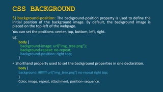 CSS Topic wise Short notes ppt by Navya.E | PPTX