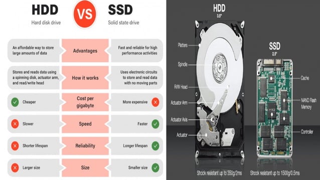 Introduction to computer hardware and software | PPTX