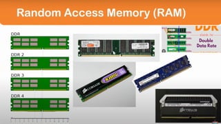 Introduction to computer hardware and software | PPTX