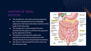 Clinical Science Session - Ileus Obstruktif | PPTX