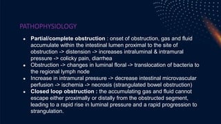 Clinical Science Session - Ileus Obstruktif | PPT