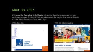 CSS Selectors: element, class, id | PPTX