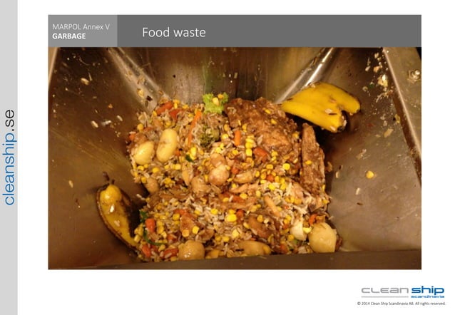 Investigating Food Waste Management Technologies | PDF | Travel