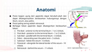 Clinical Science Session Appendicitis.pptx