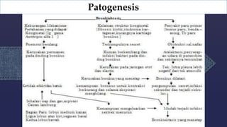CSS Bronkiektasis.pptx