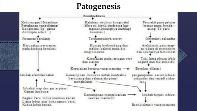 CSS Bronkiektasis.pptx