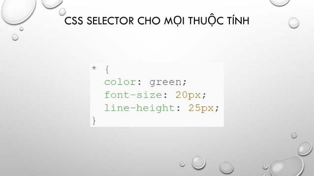 bài giảng CSS – CASCADING STYLE SHEETS.pptx