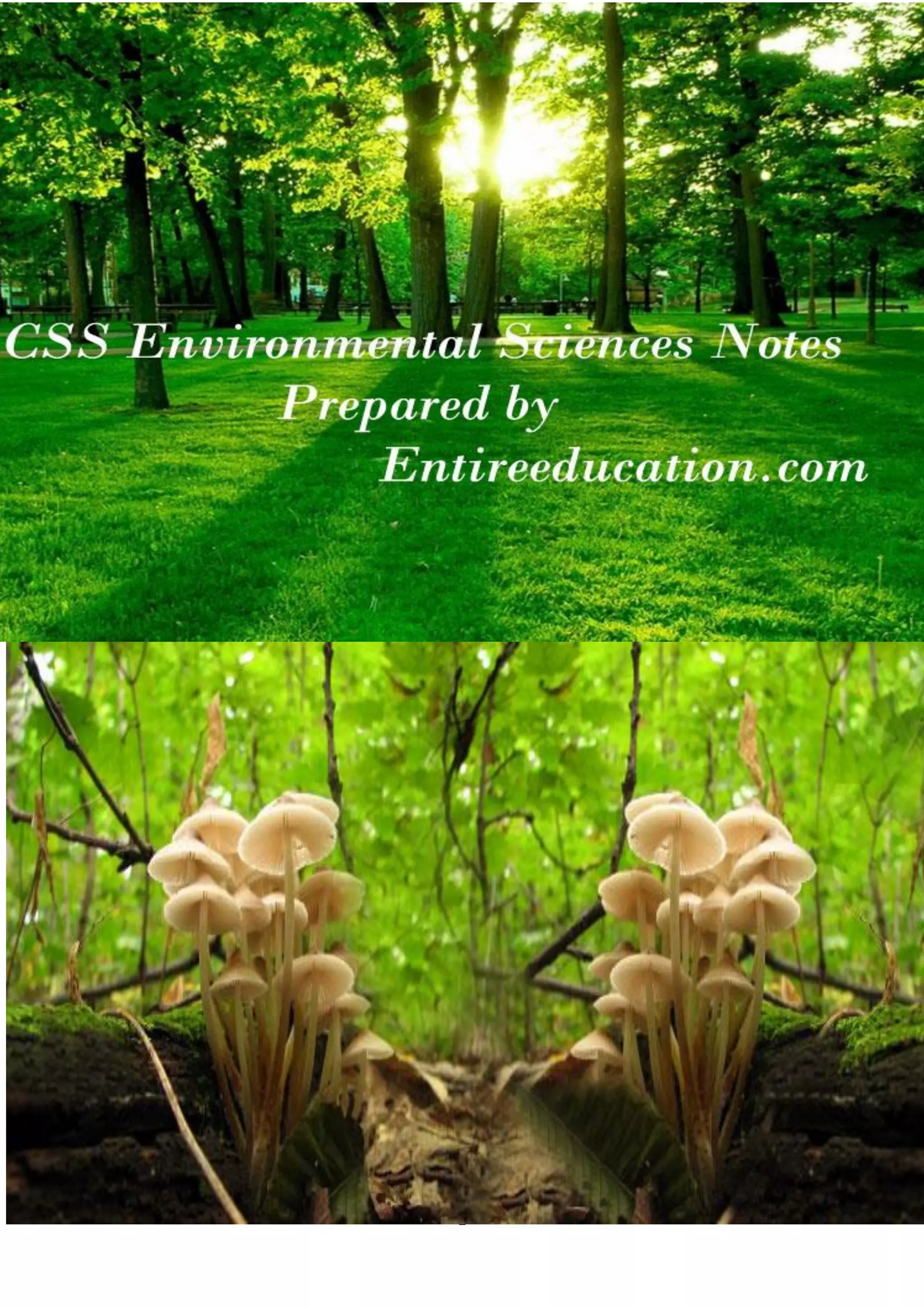 CSS Environmental Sciences | PDF