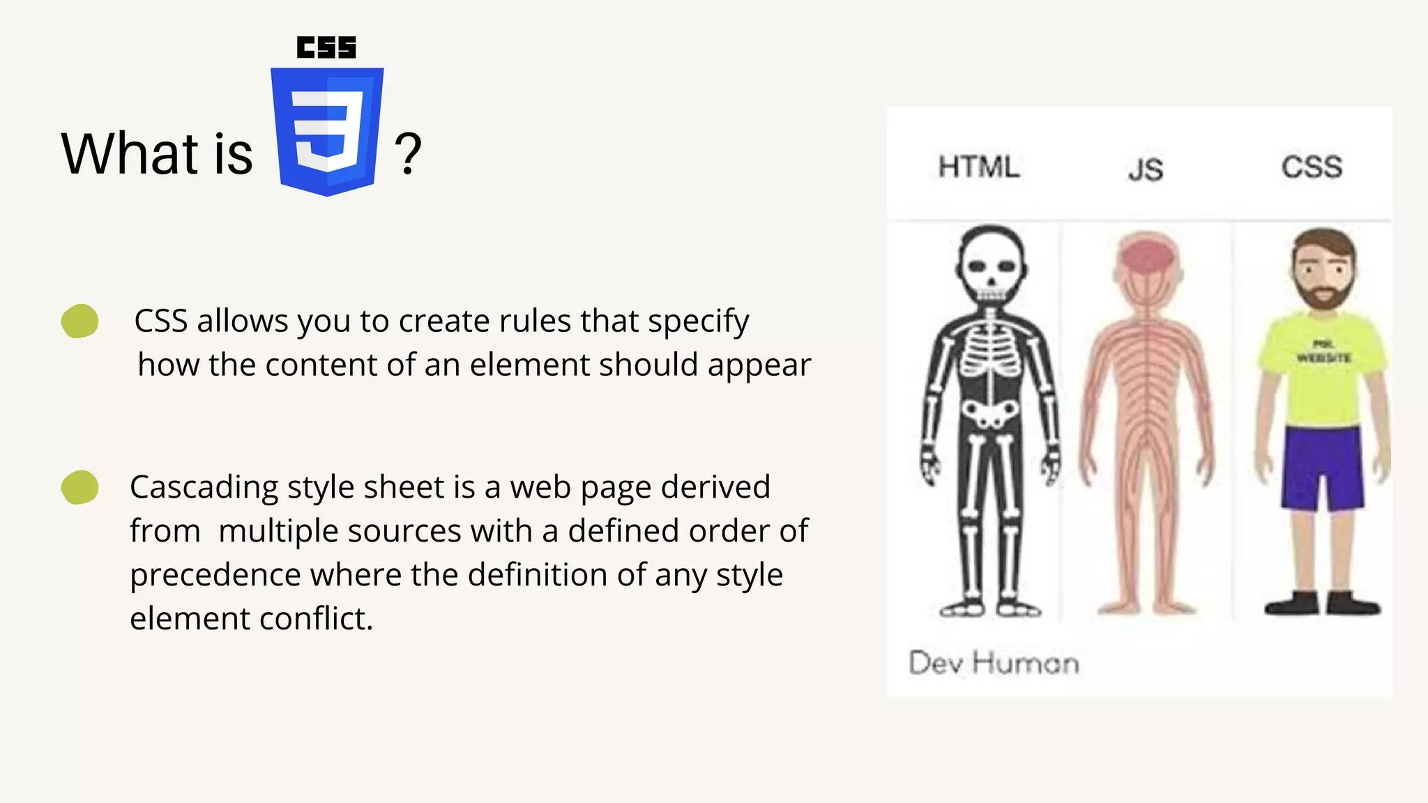 CSS framework By Palash | PDF