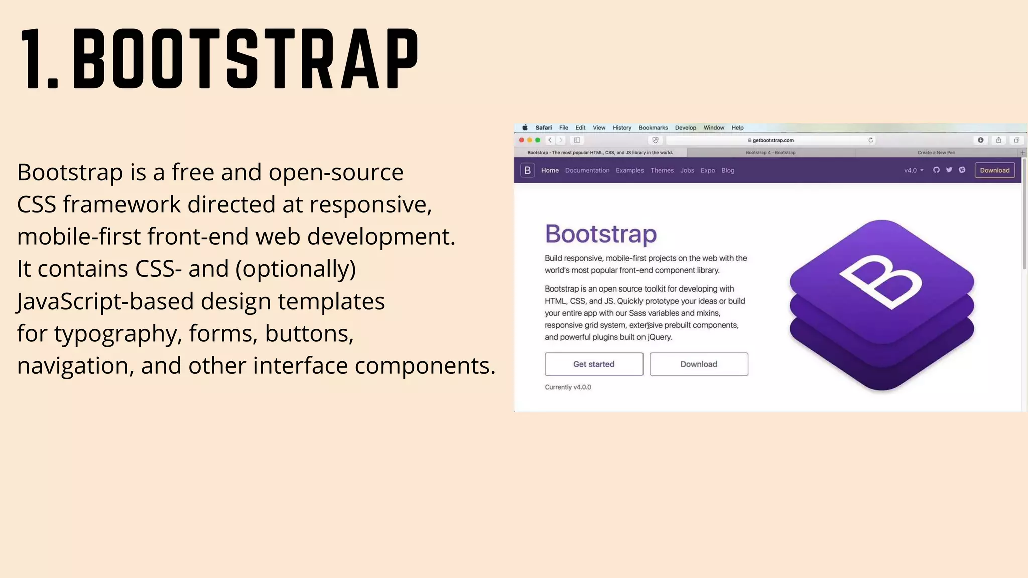 CSS framework By Palash | PDF