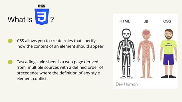 CSS framework By Palash | PPT