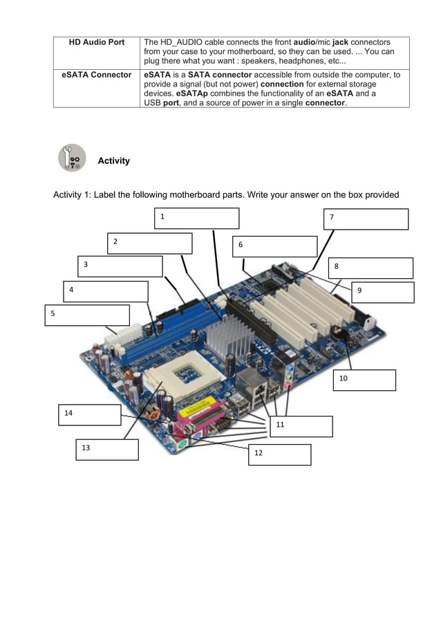 Css grade 11 week 2 | PDF | Computing | Technology & Computing