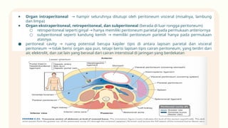 CSS PERITONITIS GENERALISATA.pptxxxxxxxxxxxxxxxxxxxxxxxxxxxxxxxx | PPTX